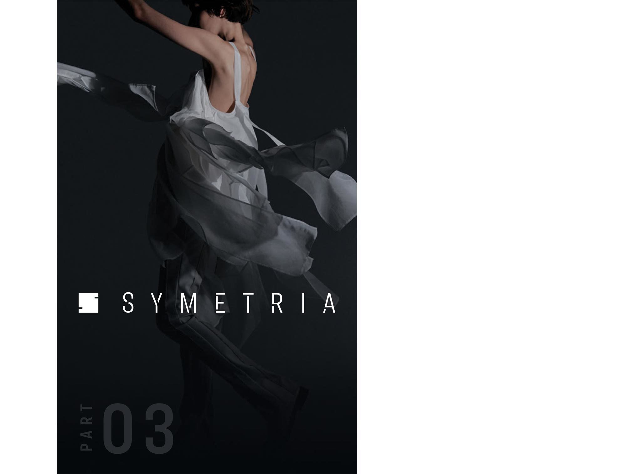 Symetria Logo